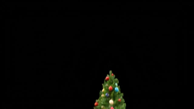 Logo Animation | Christmas Rise